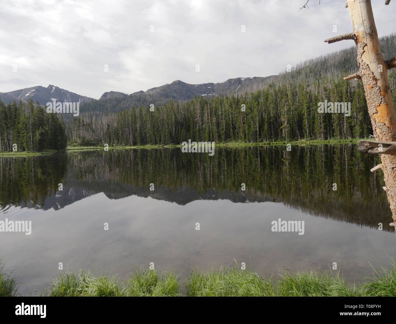 Sylvan lake yellowstone national park hi-res stock photography and ...