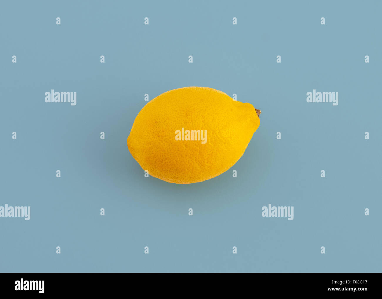 Lemon close ups with pastel colour backing Stock Photo - Alamy