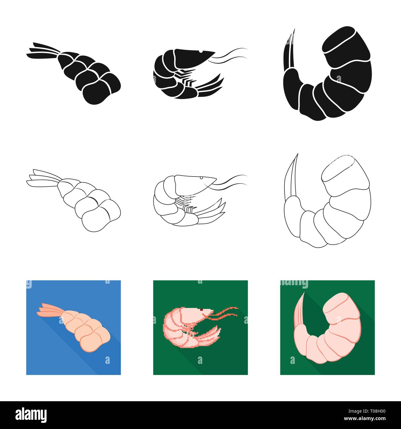 prawn,creature,boiled,fresh,restaurant,raw,cooked,aquatic,luxury ...