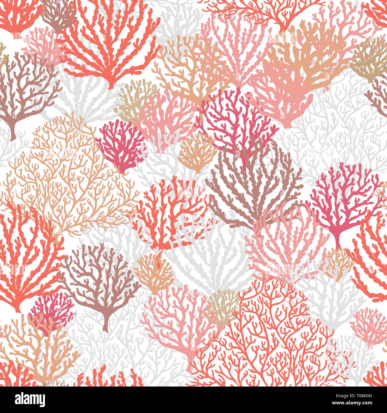Coral Wallpaper Patterns