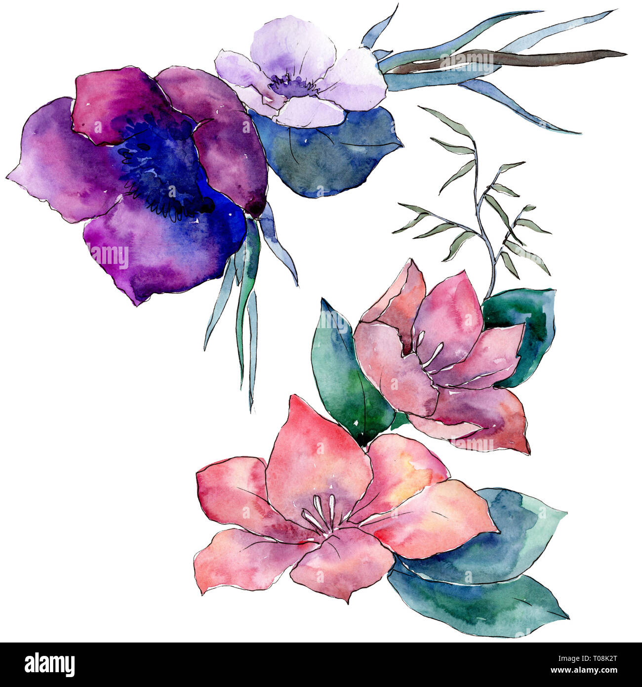 Bouquet floral botanical flowers. Watercolor background illustration ...