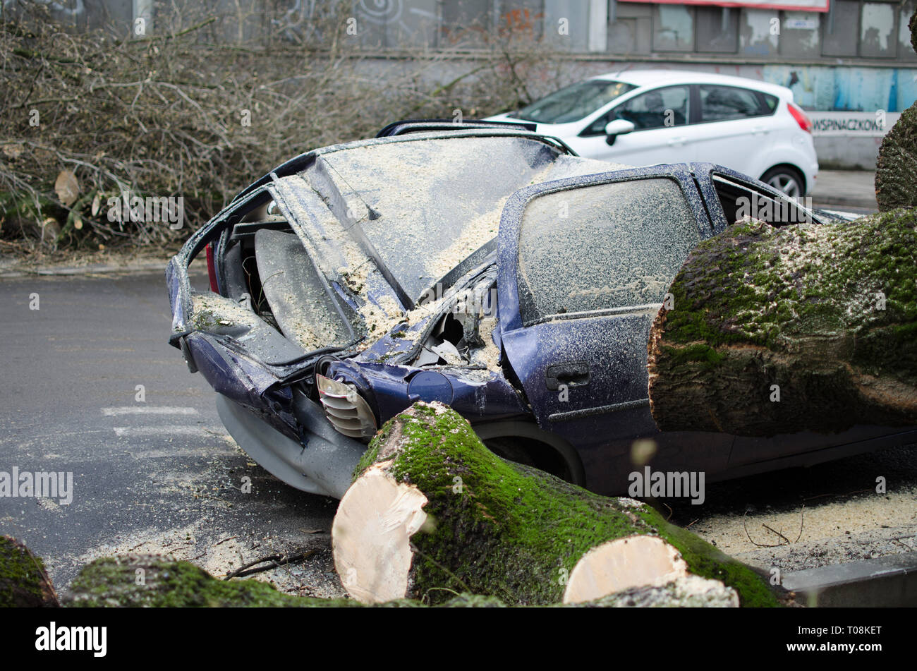 Car destruction hi-res stock photography and images - Alamy
