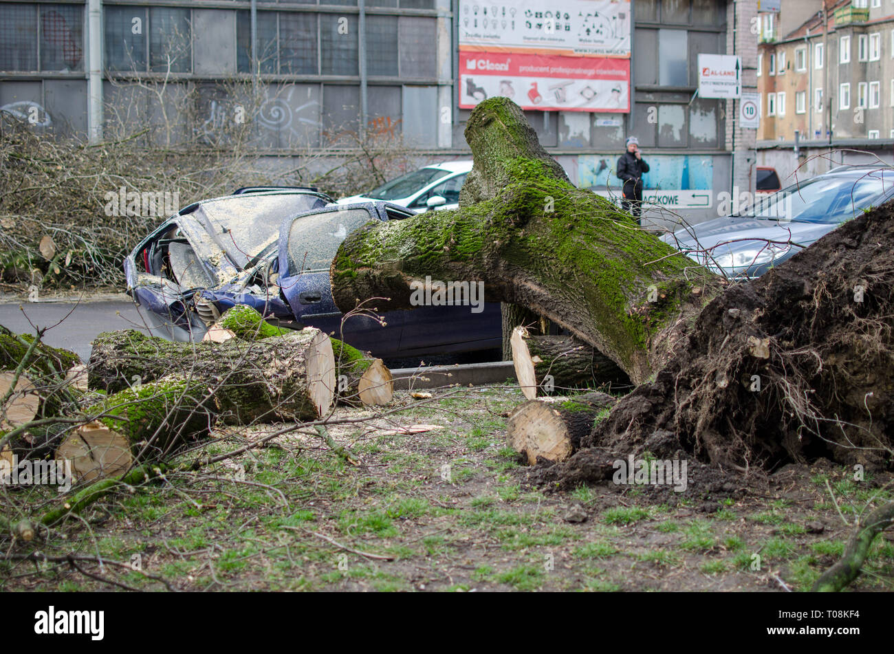 Road accident car crash tree hi-res stock photography and images - Alamy