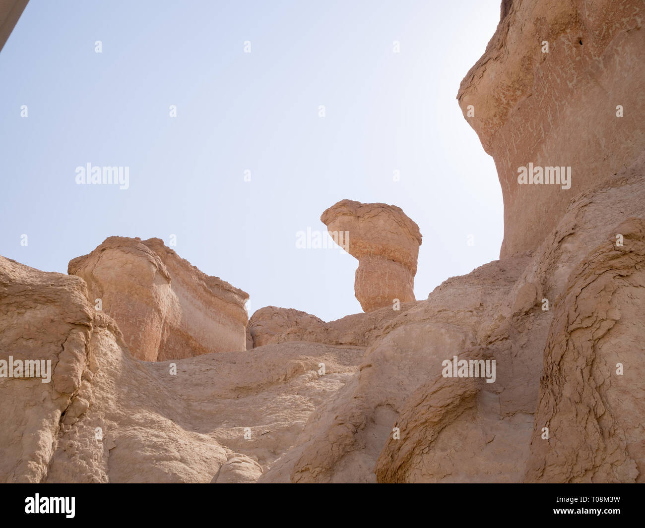 Al hasa oasis hi-res stock photography and images - Alamy