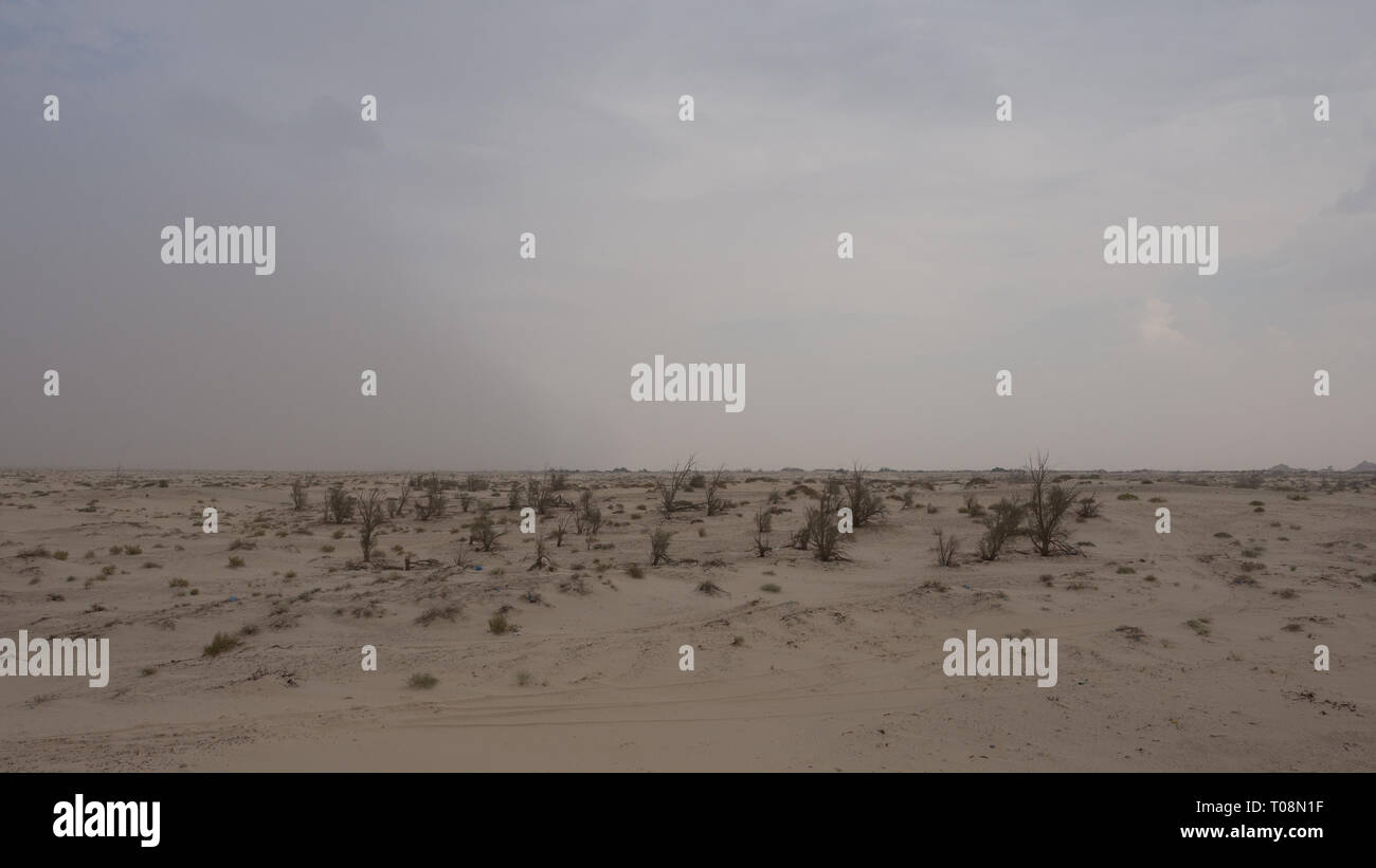 Saudi arabian culture hi-res stock photography and images - Alamy
