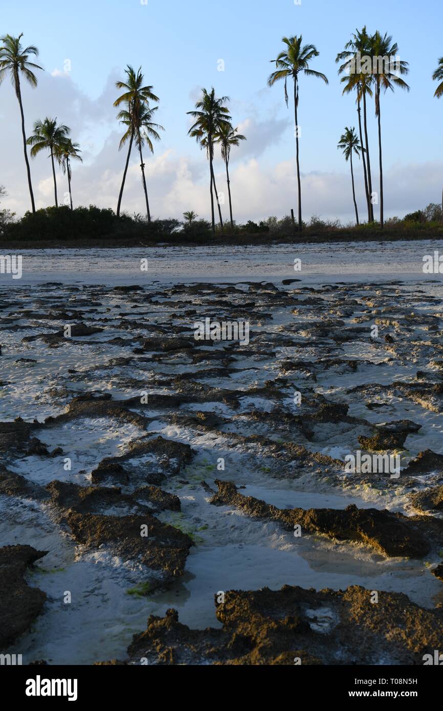 Matemo Island, Quirimbas Archipelago, Mozambique, East Africa Stock ...