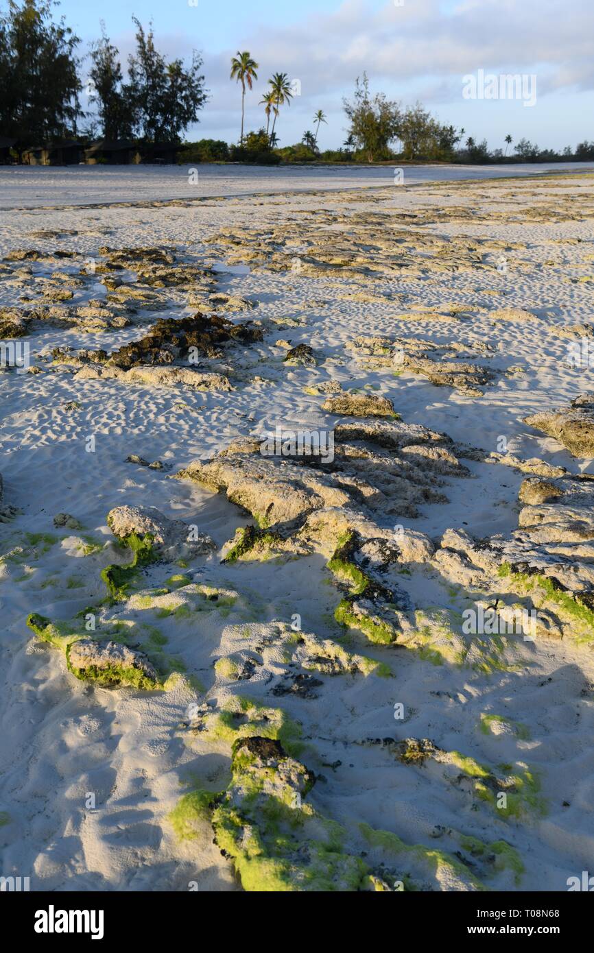 Matemo Island, Quirimbas Archipelago, Mozambique, East Africa Stock ...