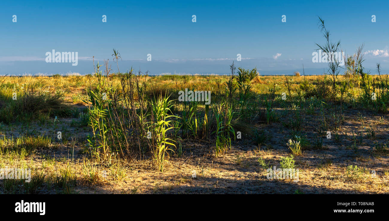 view of the Policoro beach in Basilicata in a summer afternoon Stock ...