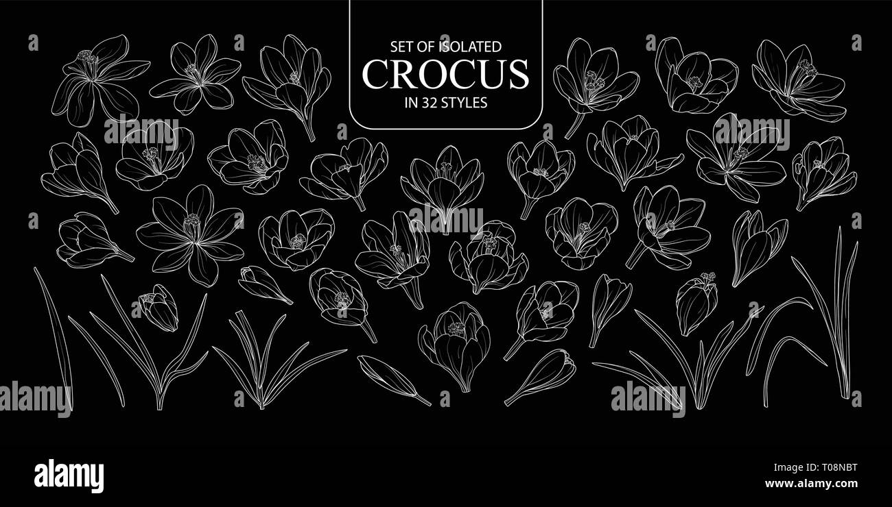 Set of isolated Crocus in 32 styles. Cute hand drawn flower vector ...