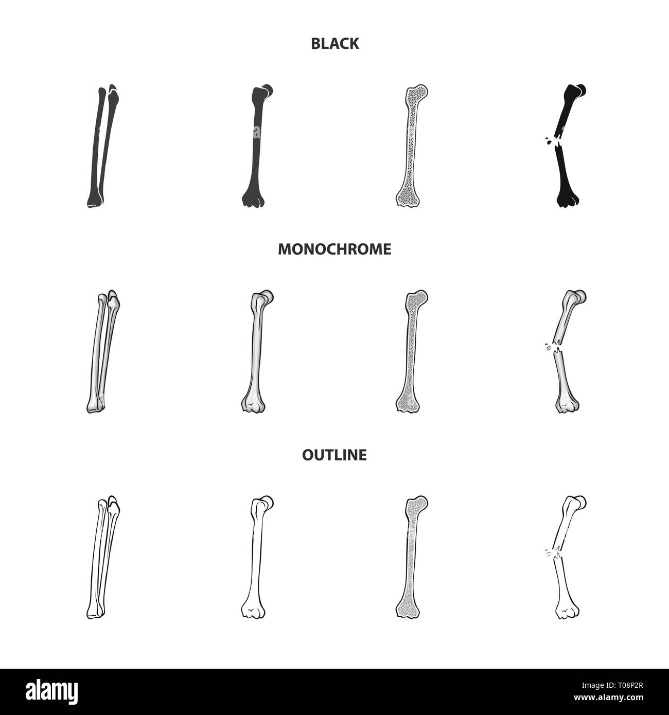 Shin bone Black and White Stock Photos & Images - Alamy