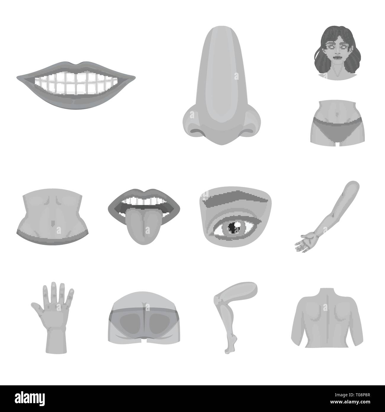 Vector illustration of body and part sign. Collection of body and ...