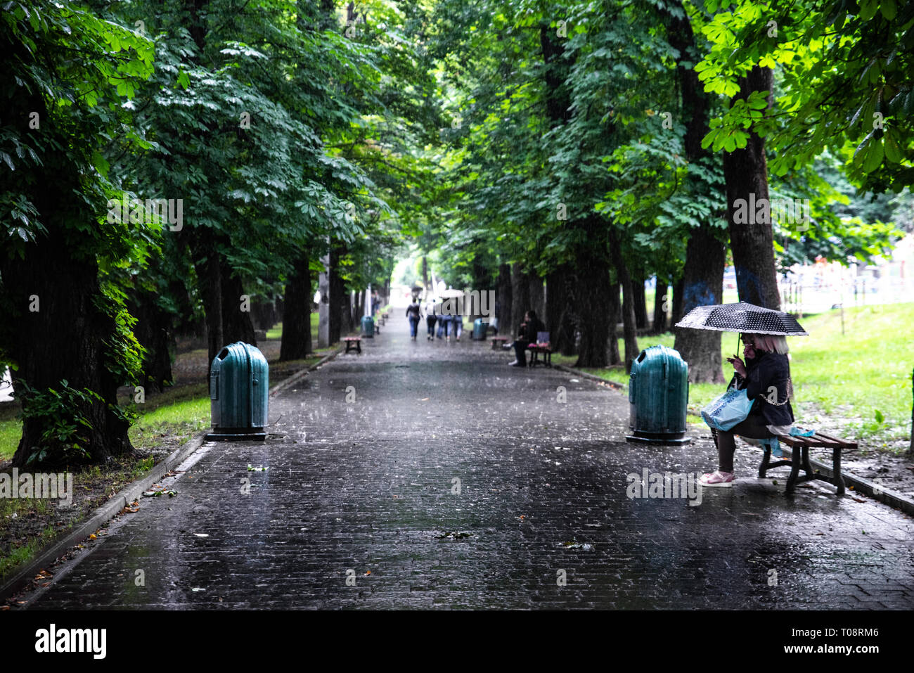 city park rainy weather spring summer time. umbrella Stock Photo - Alamy