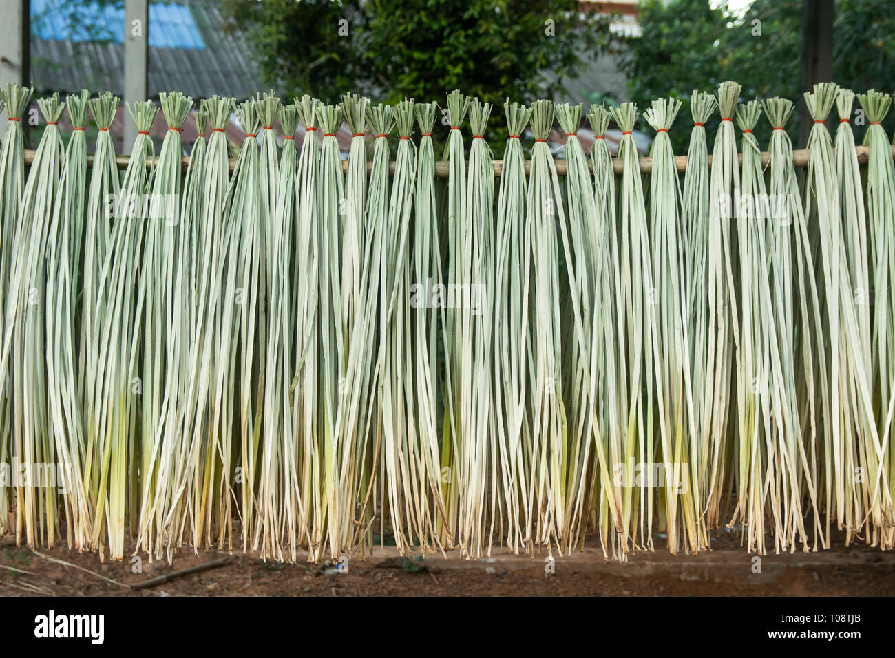 Reed Mats High Resolution Stock Photography and Images - Alamy