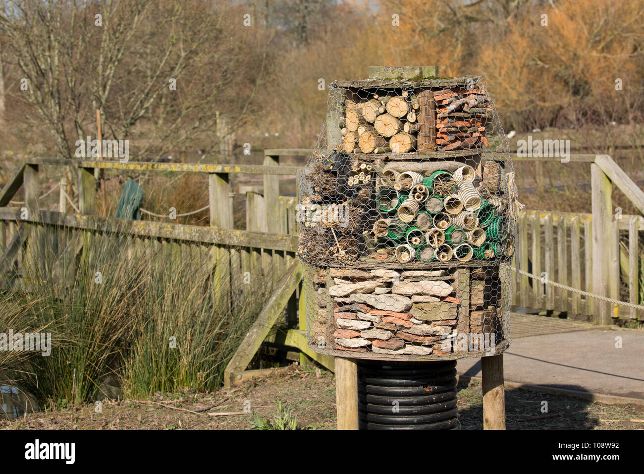 Insect or bug hotel built using a variety of materials including dry ...