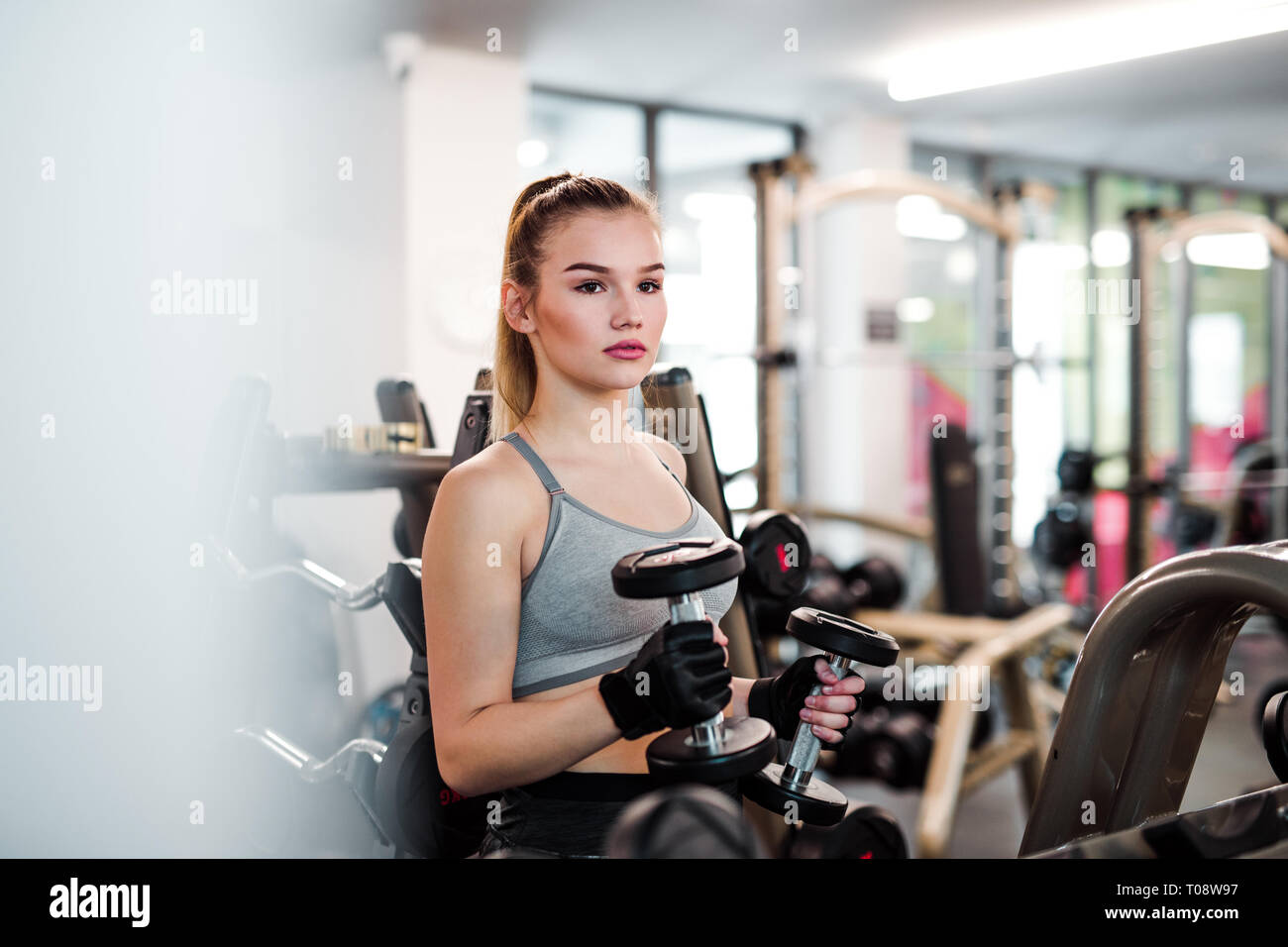 Young girl or woman with dumbbells, doing workout in a gym Stock Photo ...