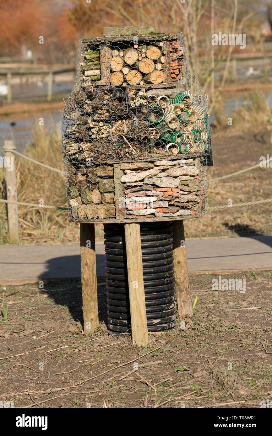 Wetland insects hi-res stock photography and images - Alamy