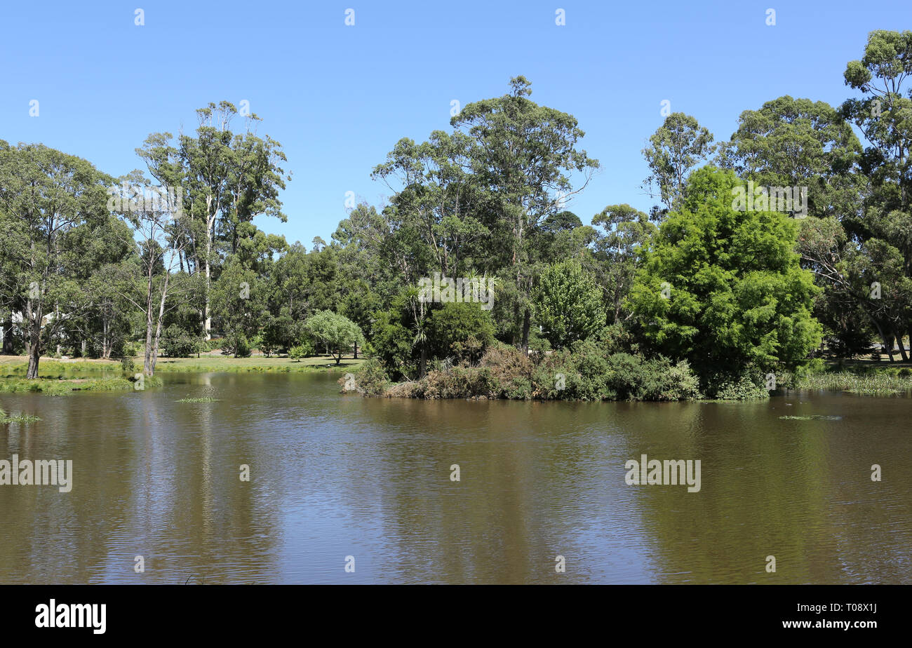 The lake in Trentham provides a focal point for wildlife, and birds in ...