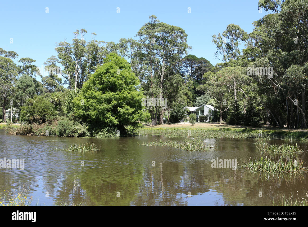 The lake in Trentham provides a focal point for wildlife, and birds in ...