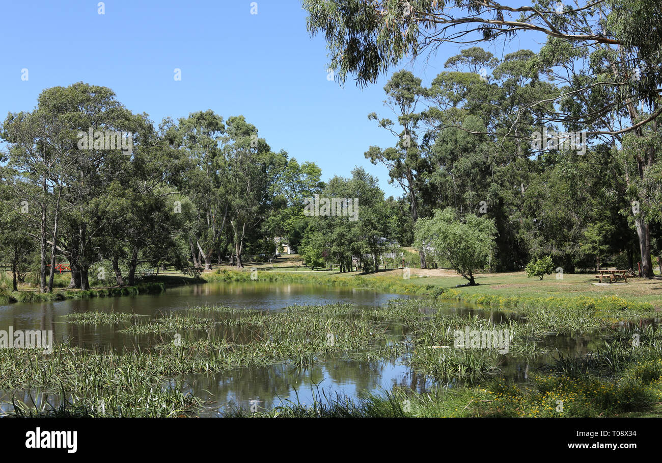 The lake in Trentham provides a focal point for wildlife, and birds in ...