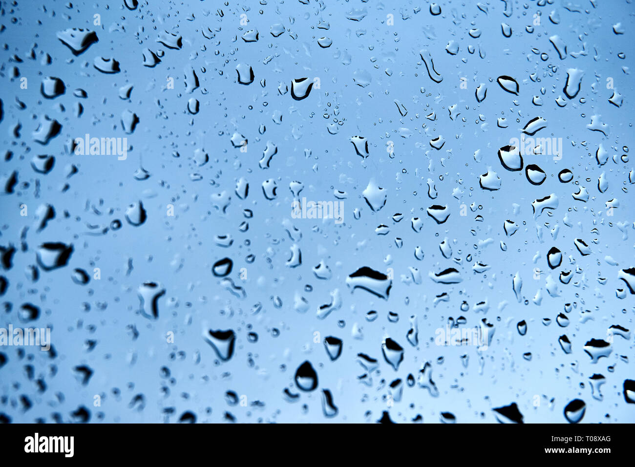 rain drops on windows Stock Photo - Alamy