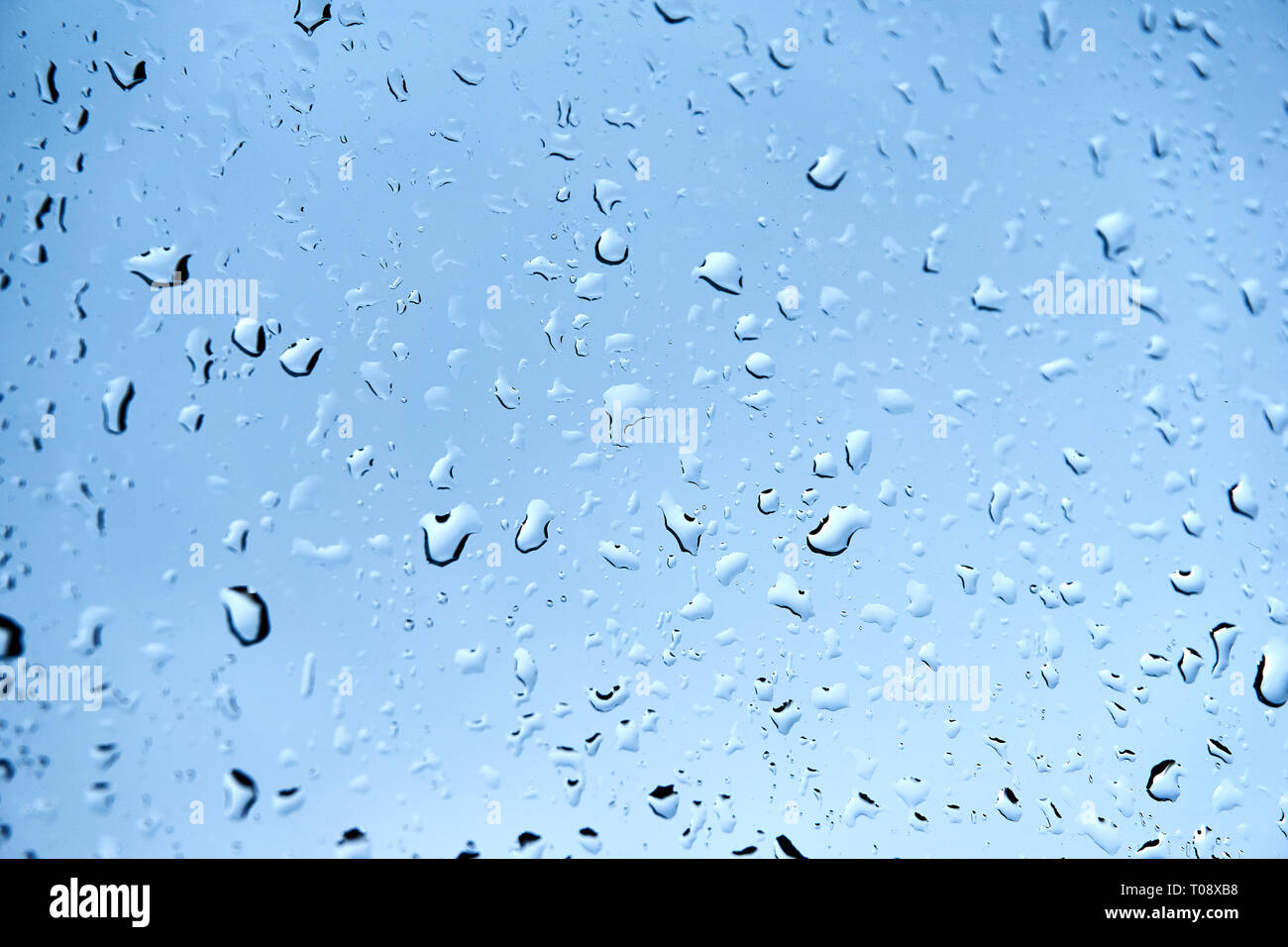 rain drops on windows Stock Photo - Alamy