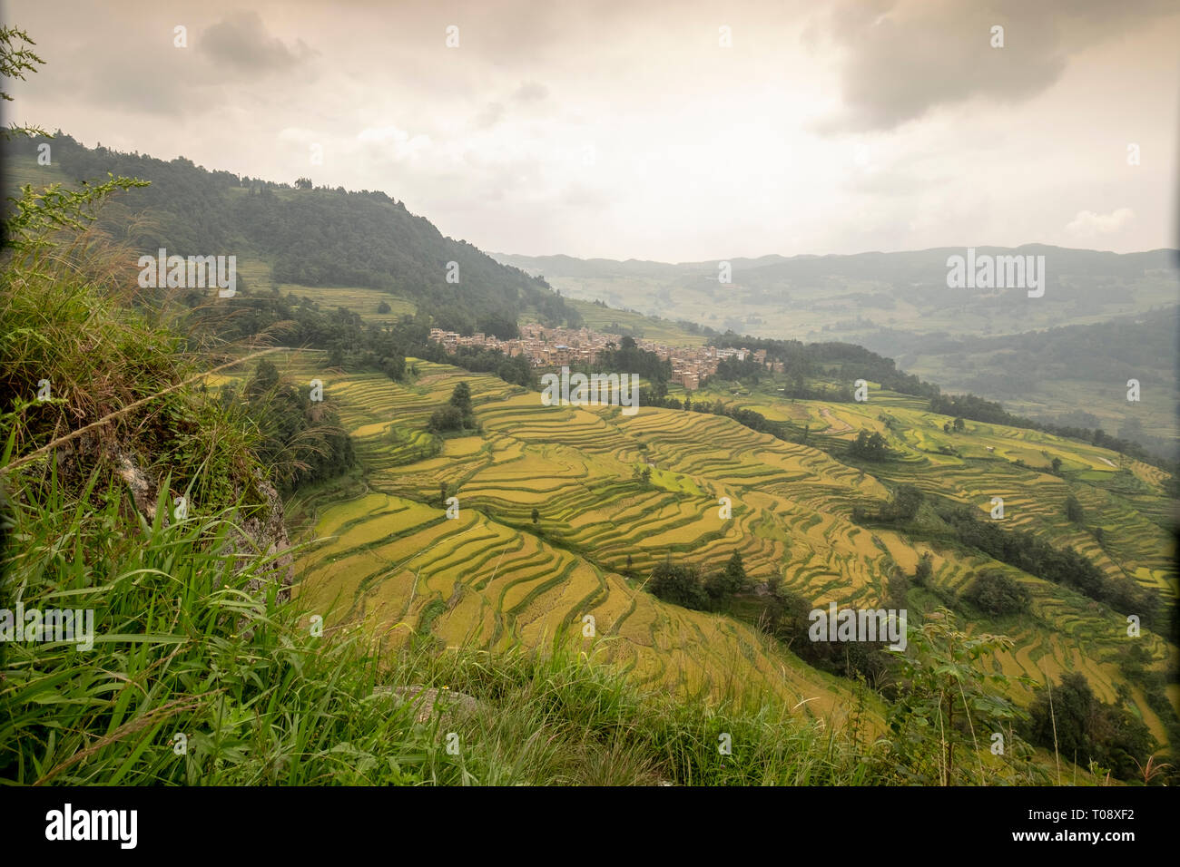 Yuanyang County is located in Honghe Prefecture in southeastern Yunnan ...