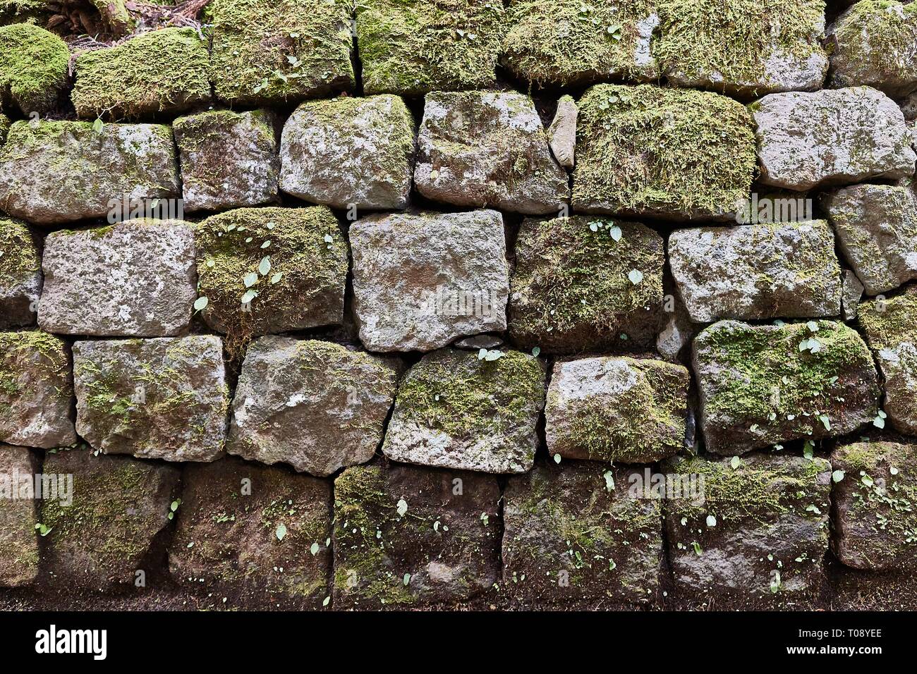 Old Stone Wall Stock Photo - Alamy