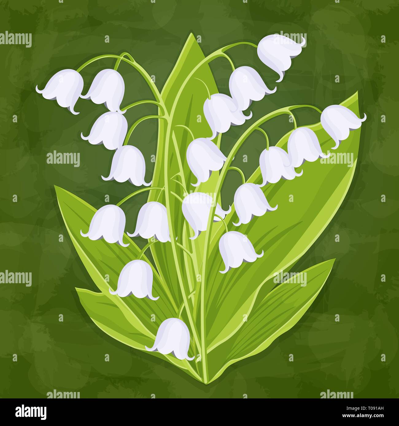 Delicate flowers valley on Stock Vector Images - Alamy