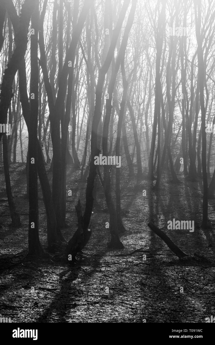 Mysterious events Black and White Stock Photos & Images - Alamy