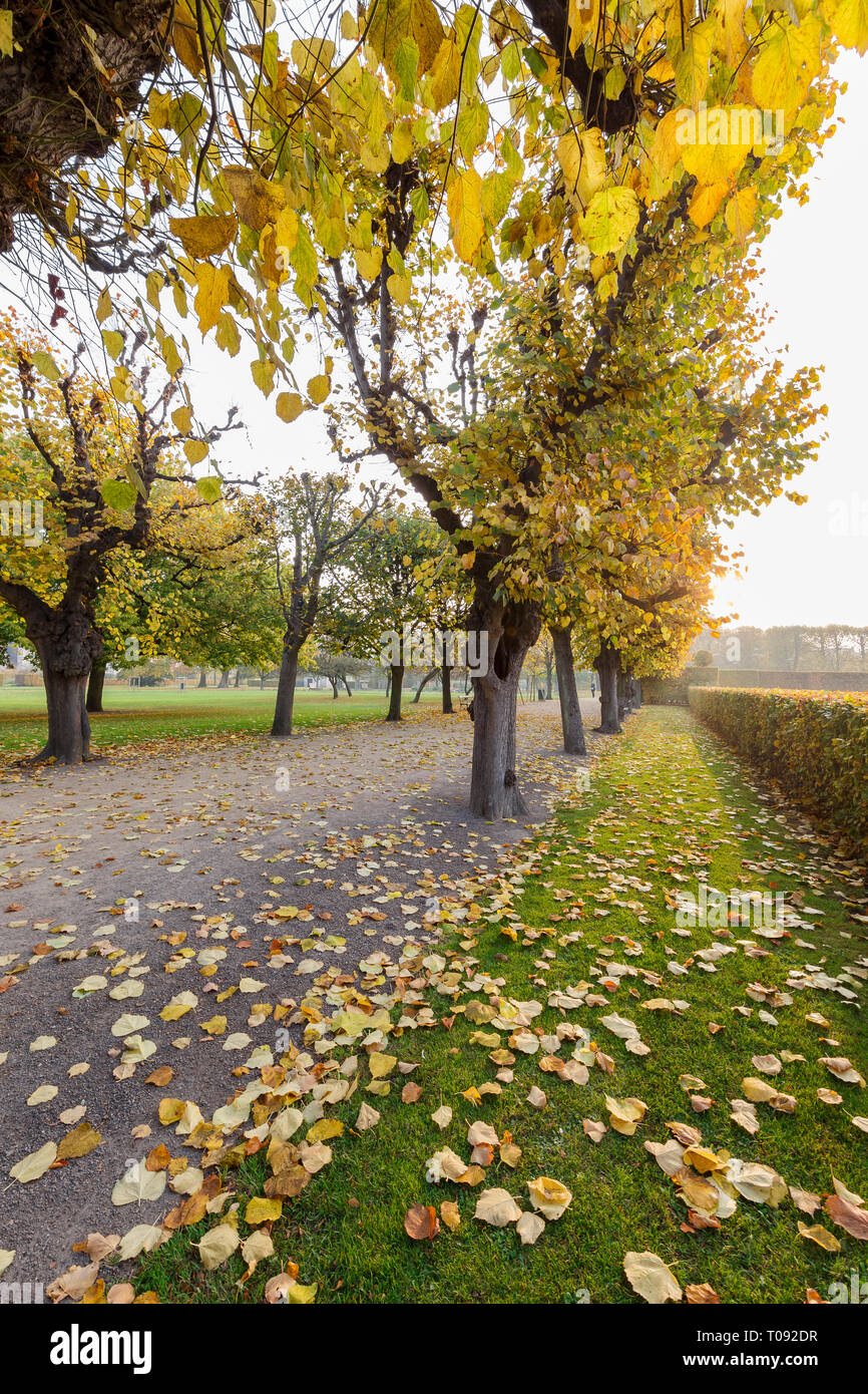 Beautiful fall color in the King's Garden at Copenhagen, Denmark Stock ...