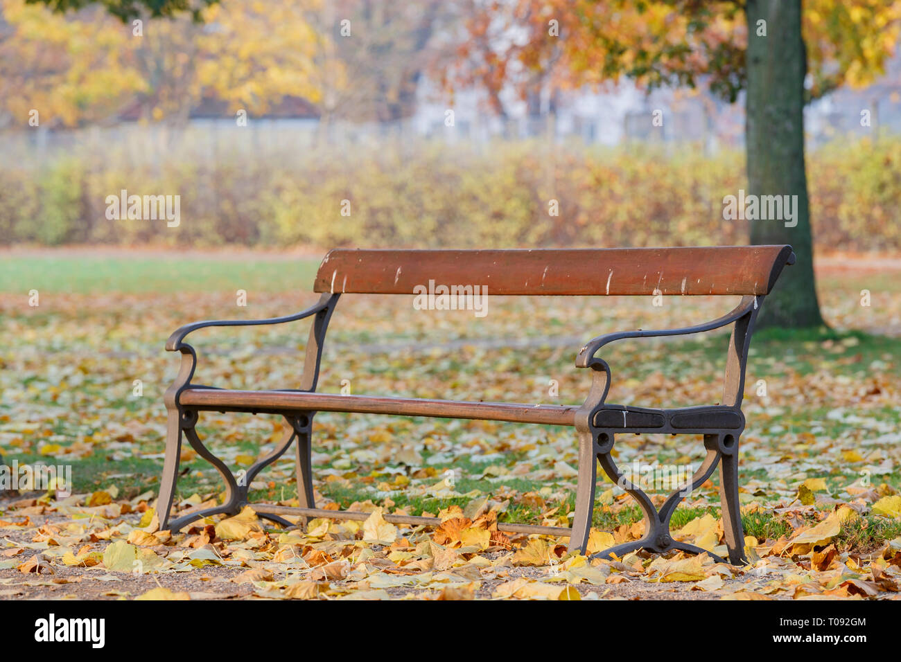 Beautiful fall color in the King's Garden at Copenhagen, Denmark Stock ...