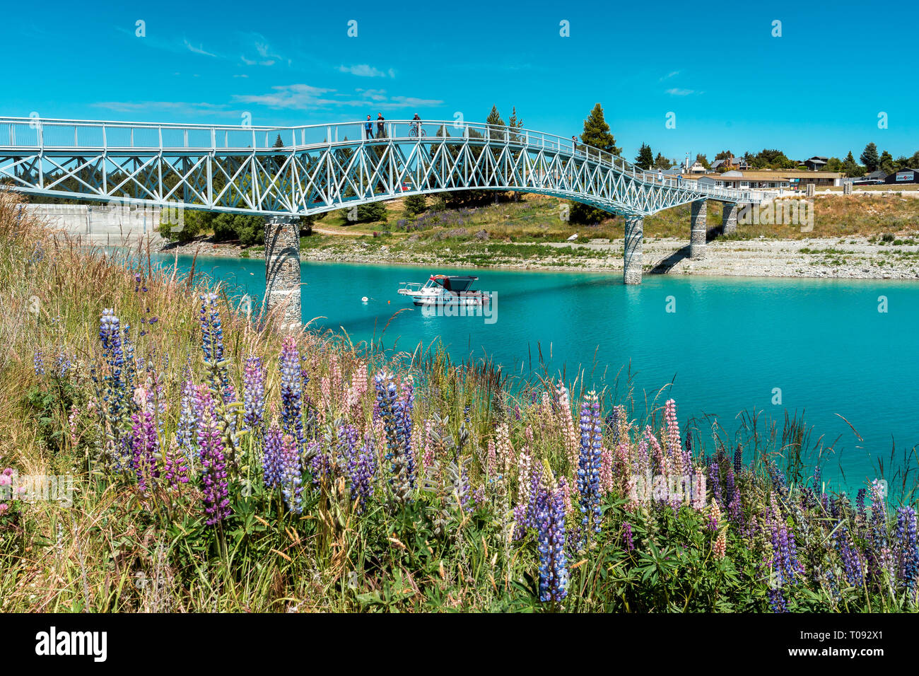 Bridge over lake Tekapo river in New Zealand Stock Photo - Alamy