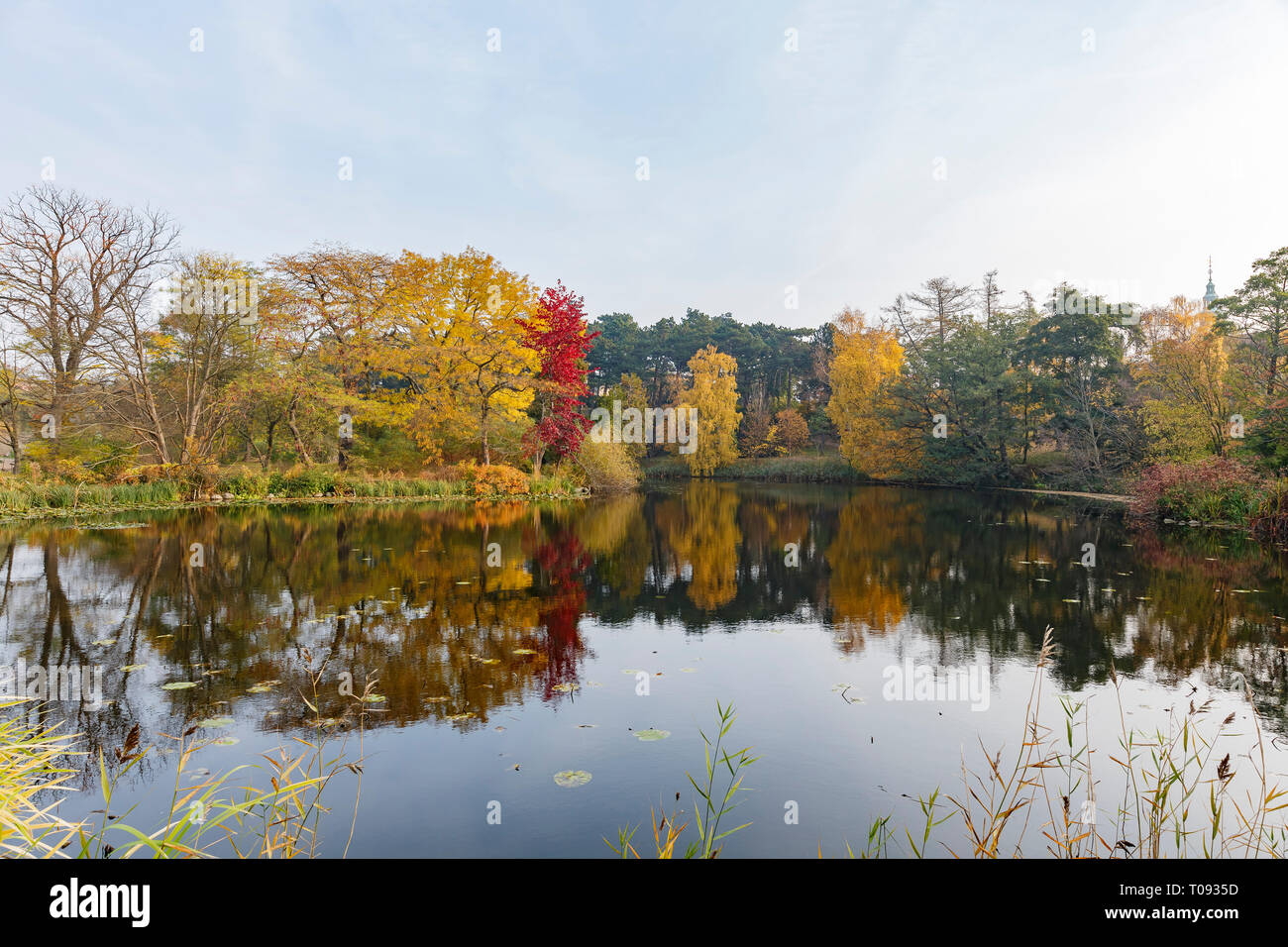 The beautiful fall color around Botanical Garden at Copenhagen, Denmark ...