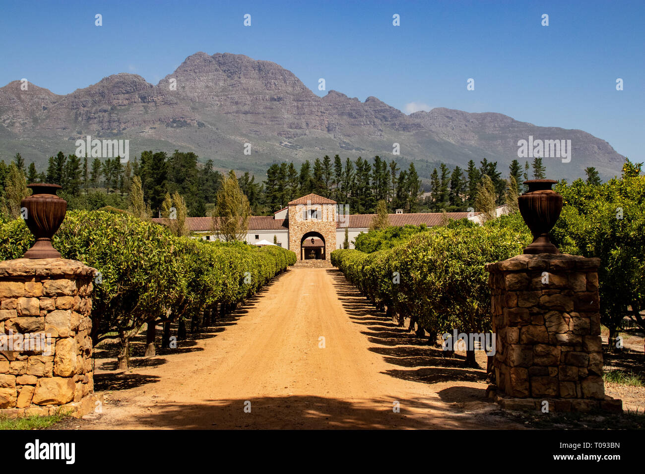 Wine glass Wine estate Stock Photo - Alamy