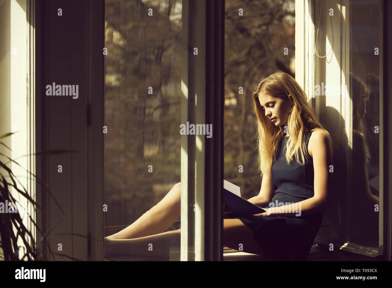 Pretty girl reading book at open window Stock Photo - Alamy