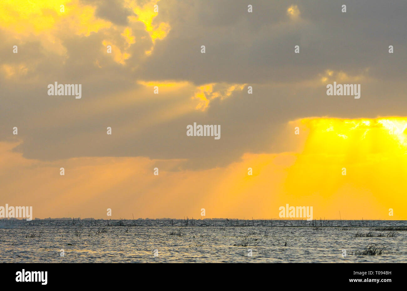 Morning light pierces through hi-res stock photography and images - Alamy