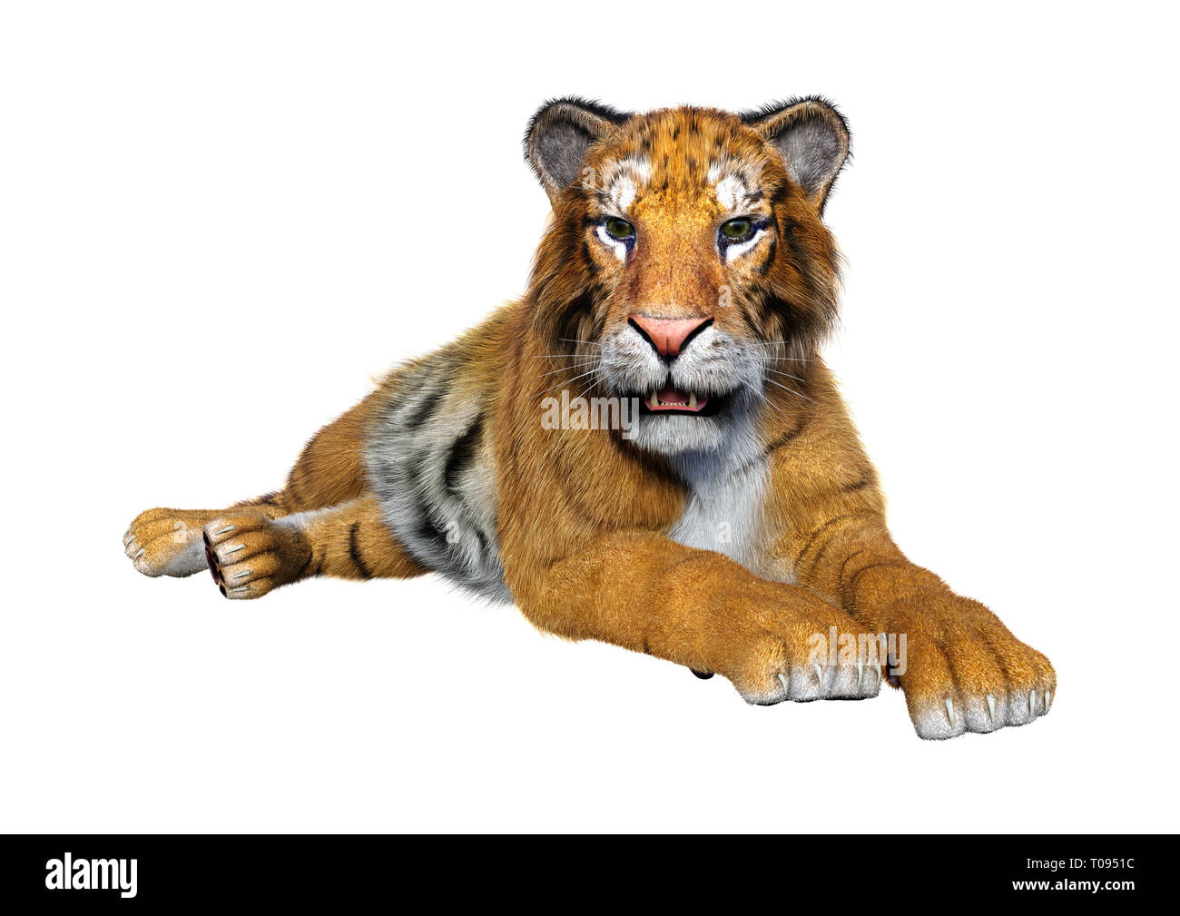 3D rendering of a big cat tiger isolated on white background Stock ...