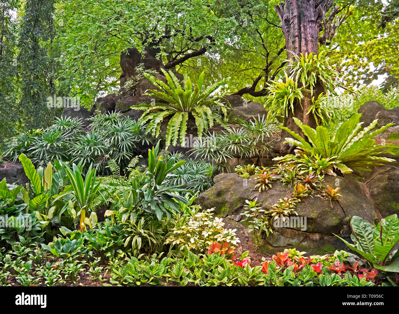 Beautiful Tropical Landscape Photos