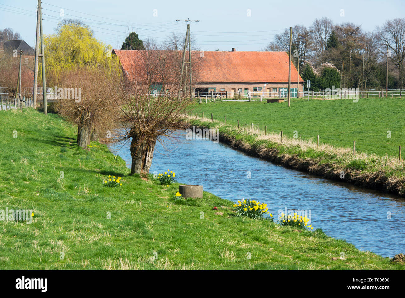 Issel hi-res stock photography and images - Alamy