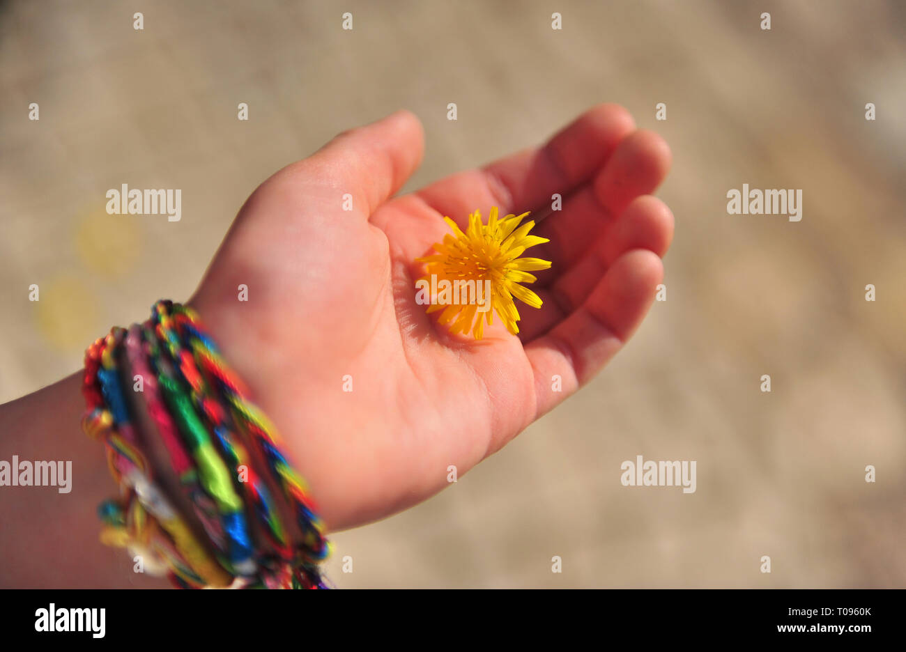 Childs hand with flower hi-res stock photography and images - Alamy