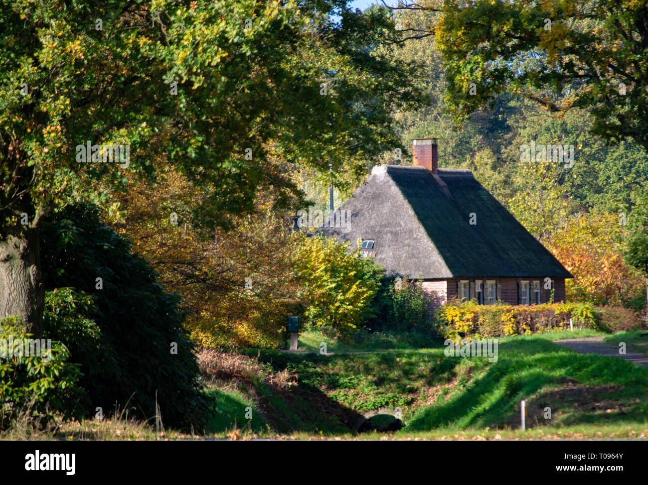 Landscape with old scary farm house in forest, autumn season Stock ...