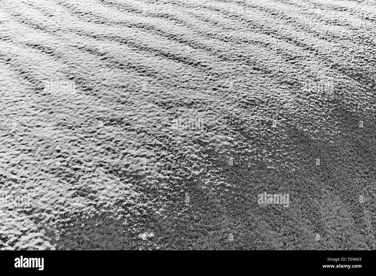 Silver light grey fine sand texture background close up copy space ...