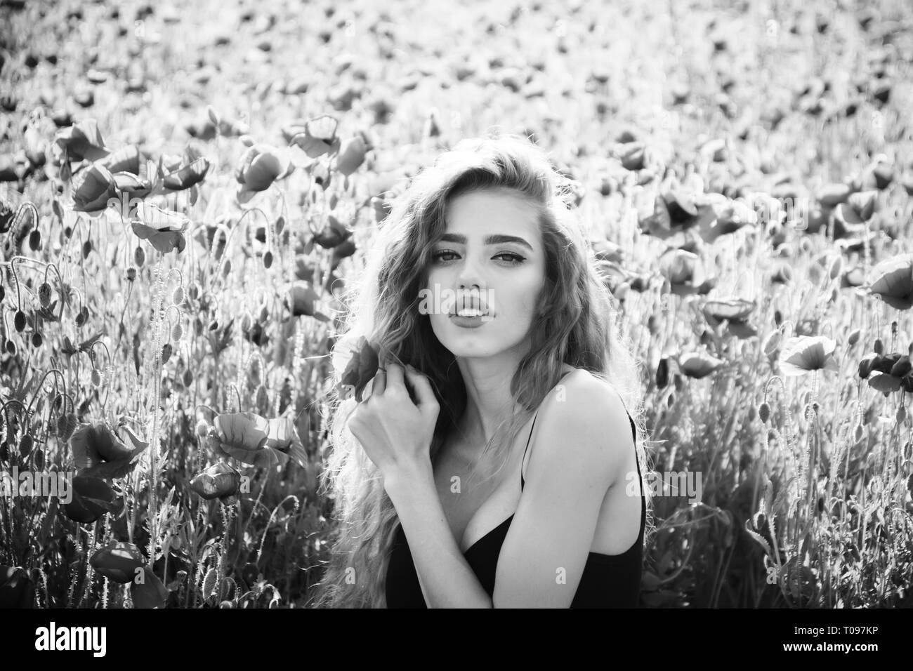 poppy seed and girl with long curly hair Stock Photo - Alamy