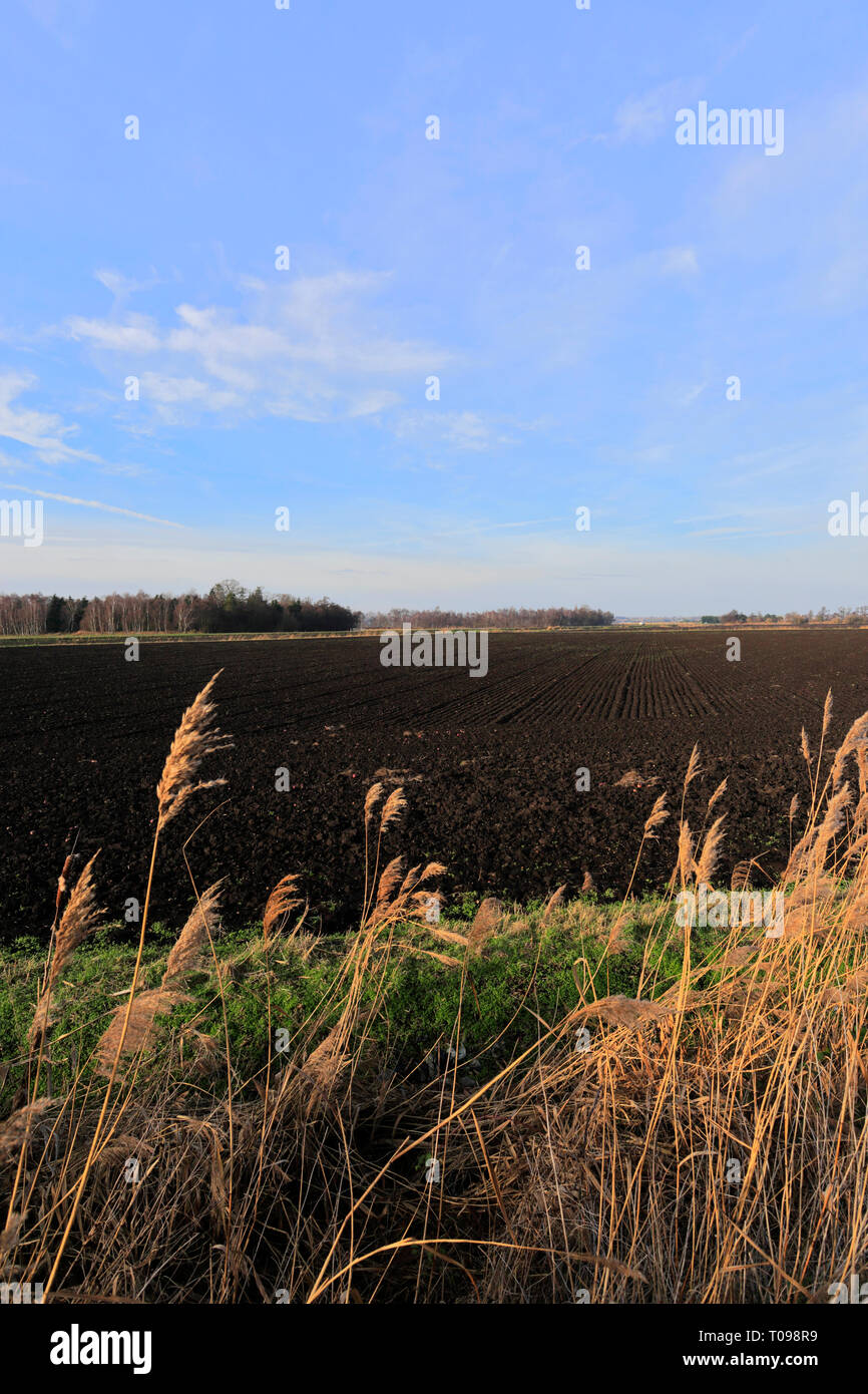 Fen black soil hi-res stock photography and images - Alamy