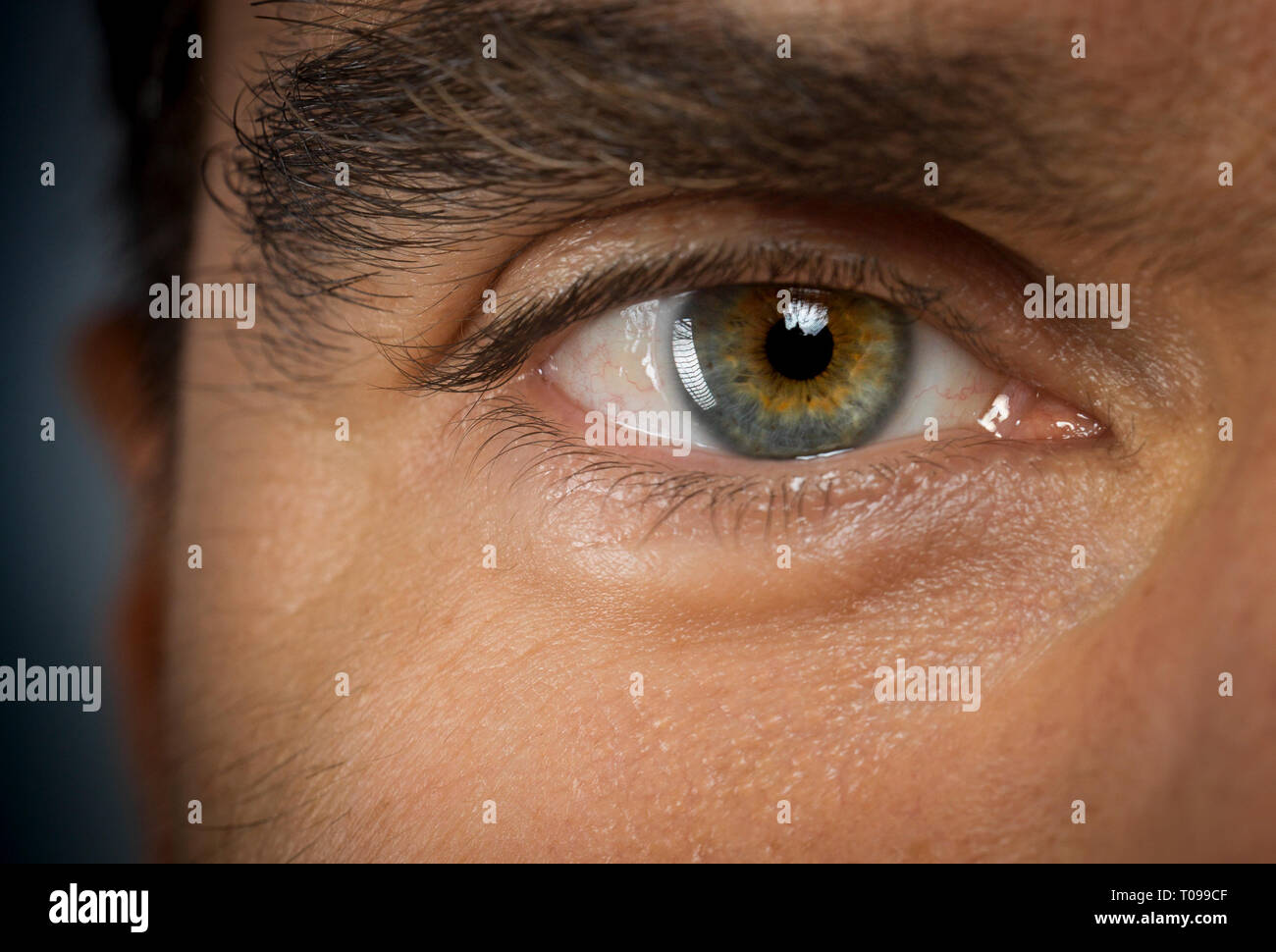 human eyse close-up Stock Photo - Alamy