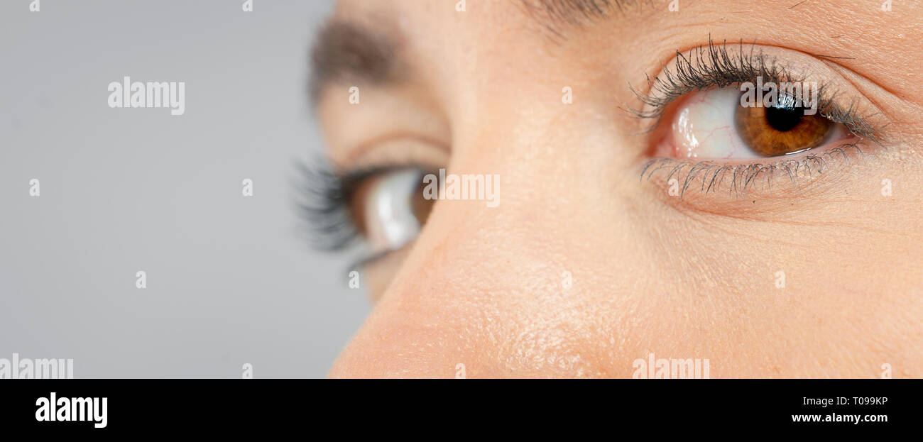 human eyse close-up Stock Photo - Alamy