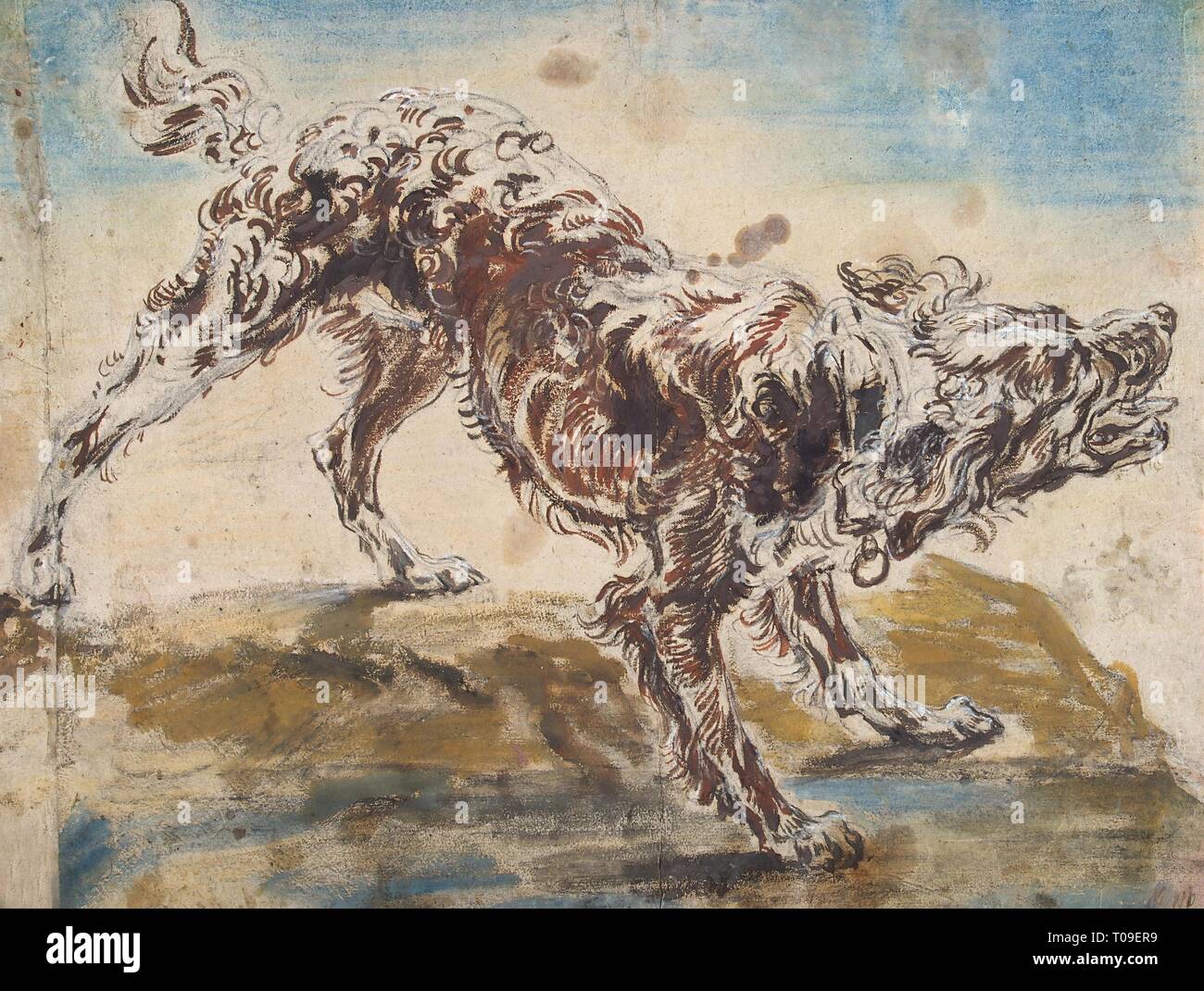 'Study of a Dog'. Flanders, 1640s. Dimensions: 50,1x39 cm. Museum ...
