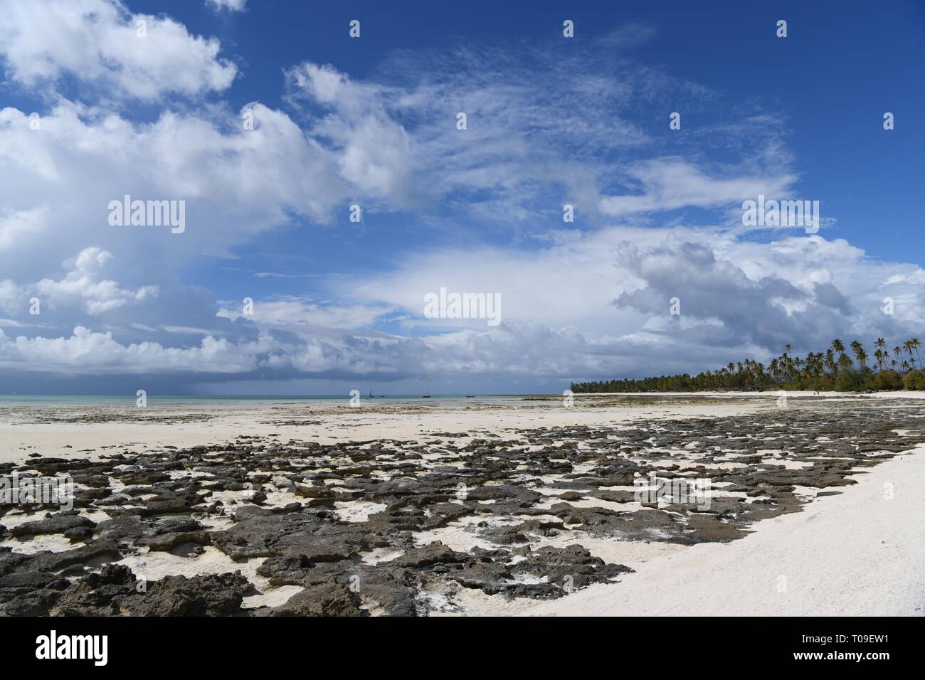 Matemo Island, Quirimbas Archipelago, Mozambique, East Africa Stock ...