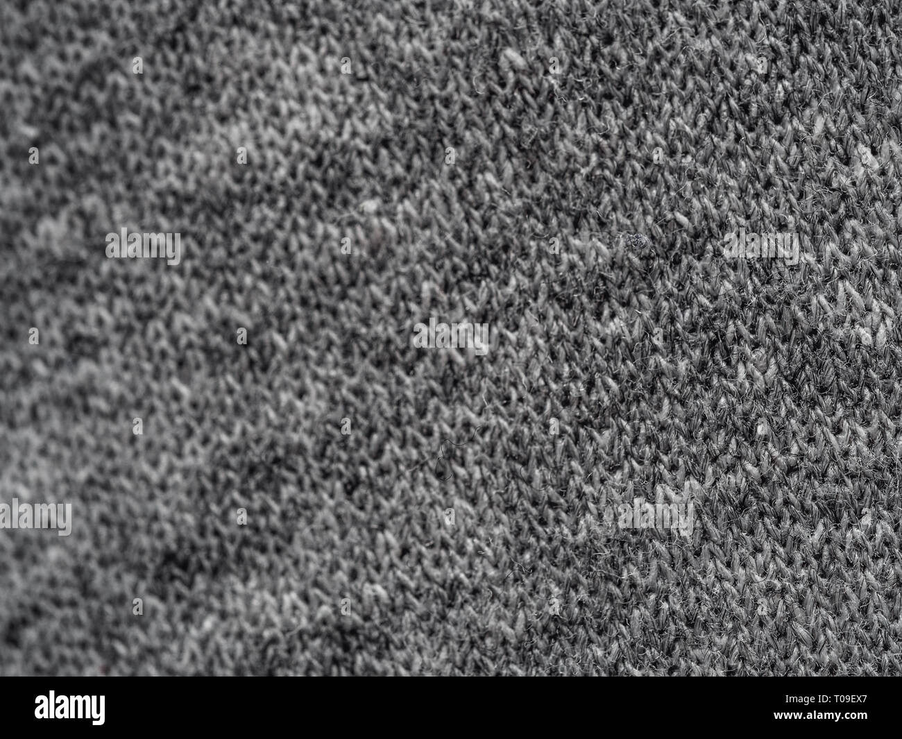 Cotton T Shirt Texture