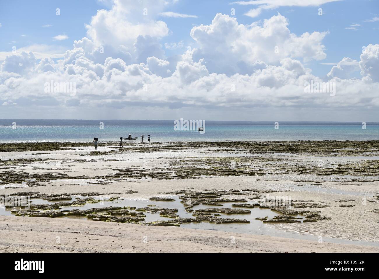 Matemo Island, Quirimbas Archipelago, Mozambique, East Africa Stock ...